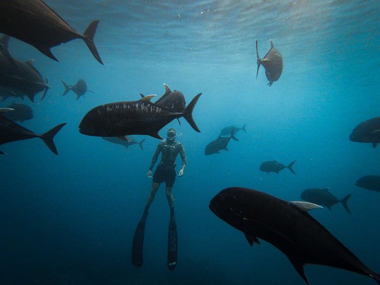 Rusty Freediving: Freediving Training Courses in Perth